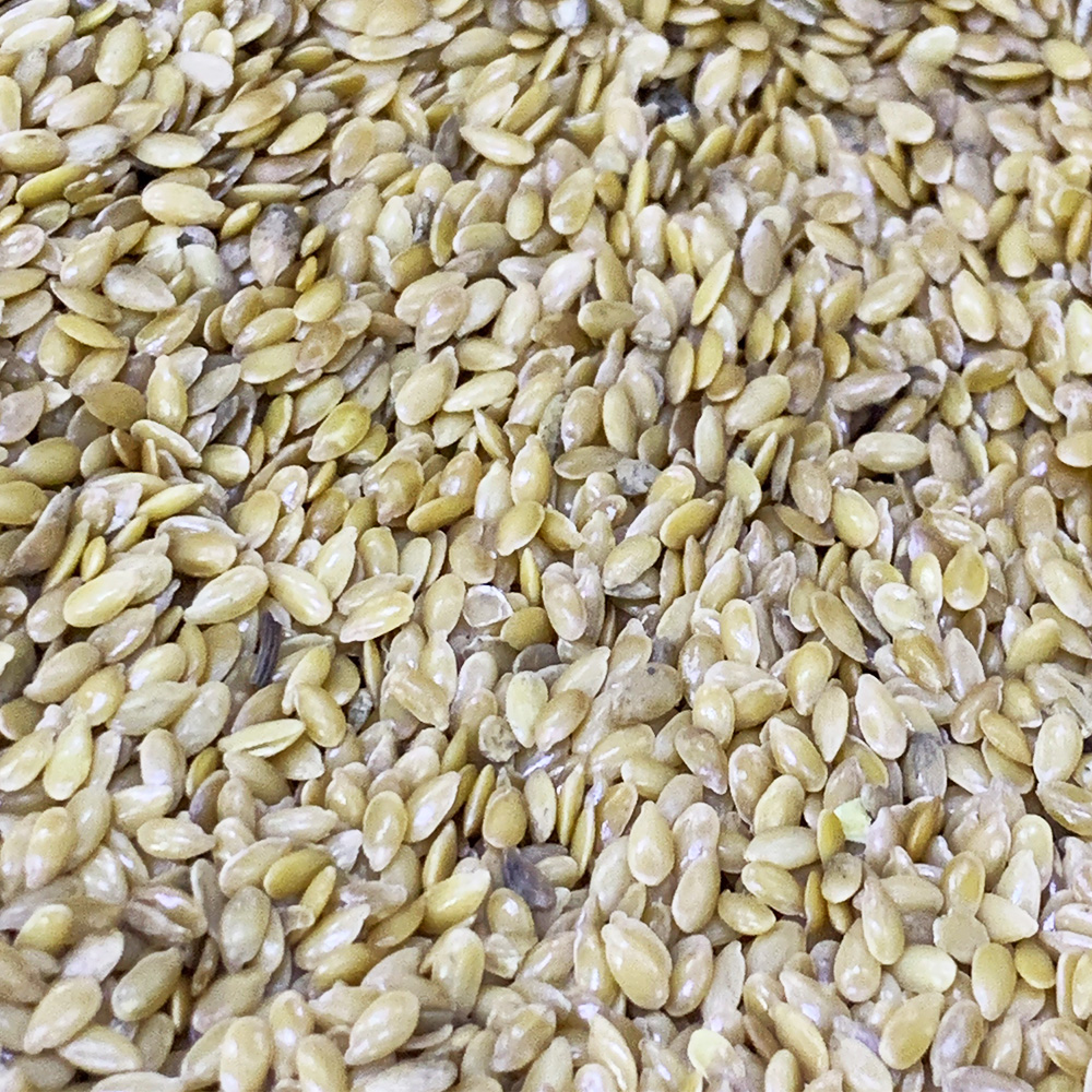 DR.OKO 德逸 - 唯一官網